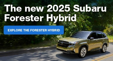 Subaru Dealership in Miami, FL | Subaru of North Miami