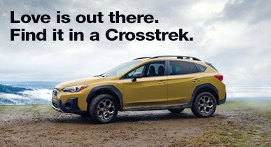 Subaru Dealership in Miami, FL | Subaru of North Miami